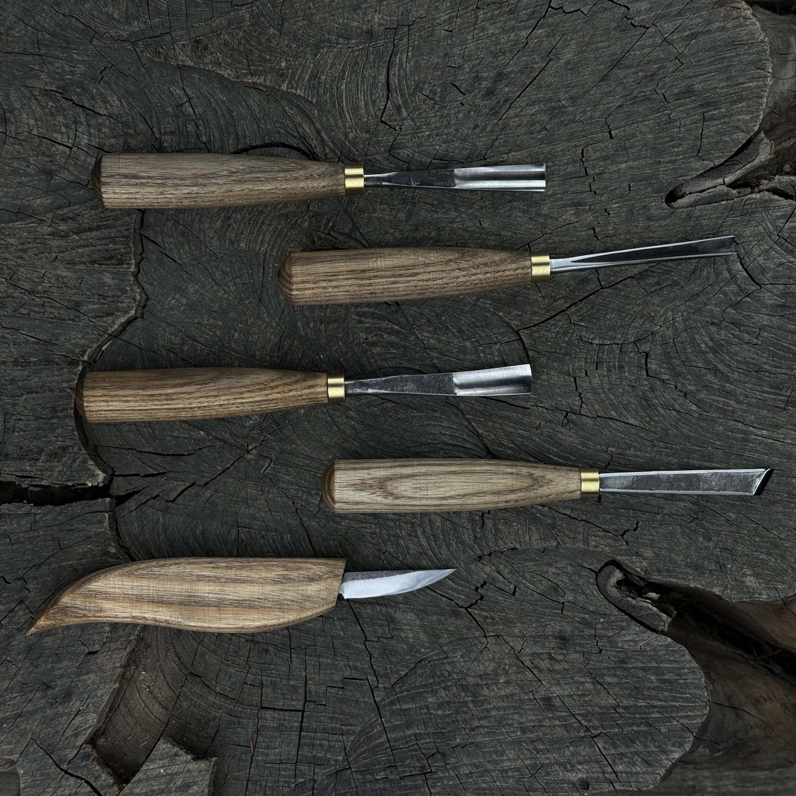 5-Piece Hand-Forged Wood Carving Tool Set - Sharky Forged Steel Tools